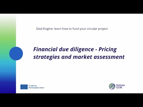 Part 13: Financial due diligence — pricing strategies and market assessment