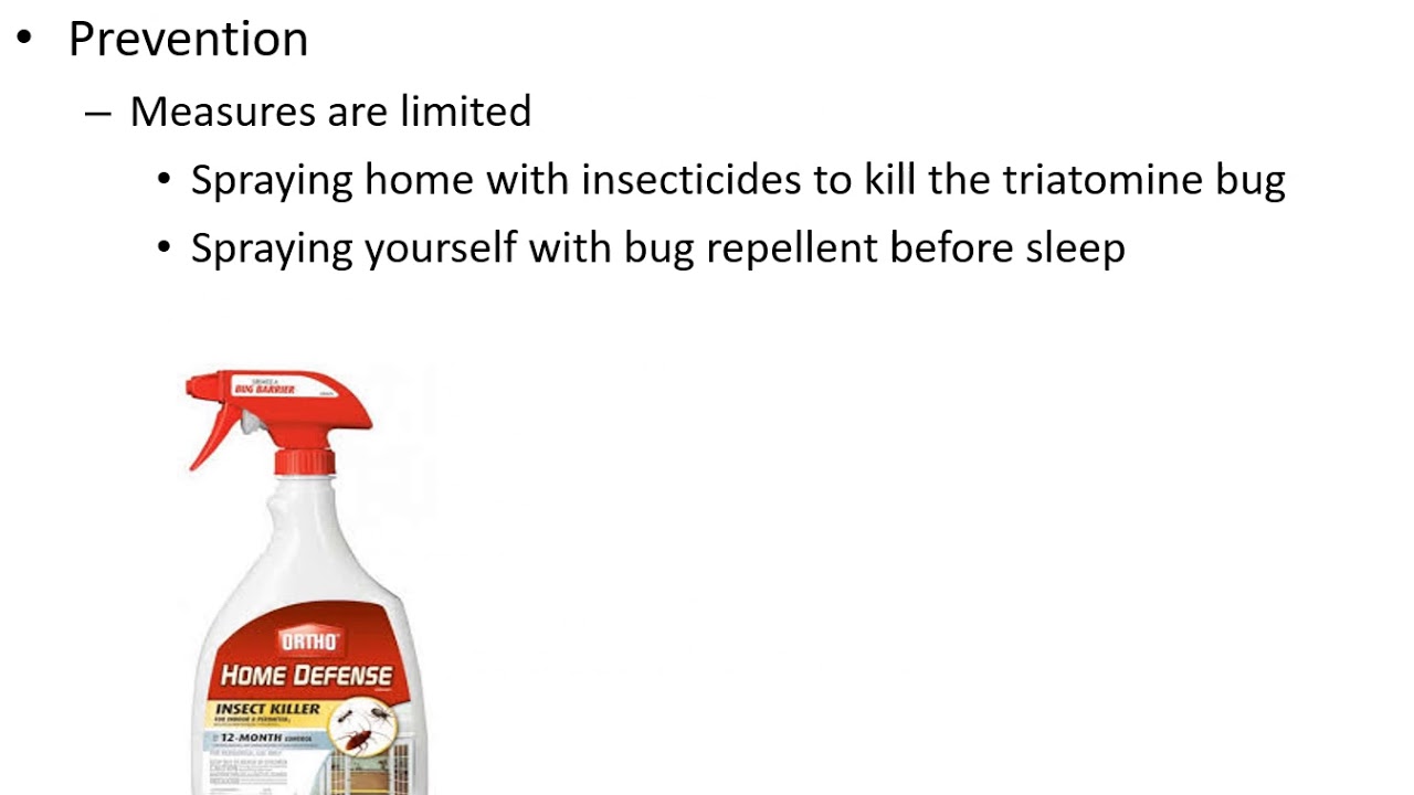 Chagas Powerpoint  2