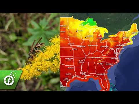 Ragweed Pollen Levels Pollen Weather July 22, 2020