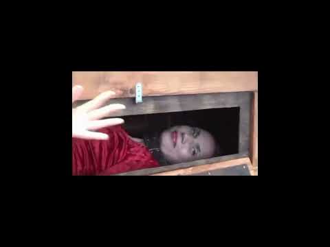Dmitry Mosin & Tatiana Litovka - Ukraine Magicians - Wakeling Sawing