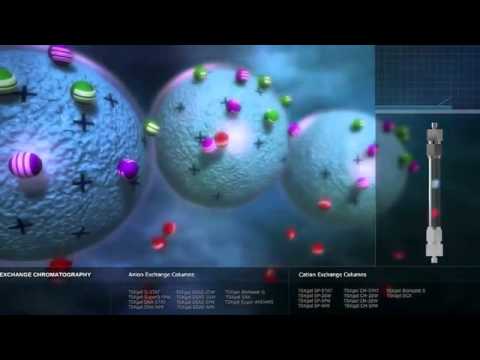 Principles of Chromatography by Tosoh Bioscience
