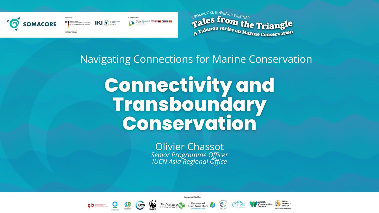 Connectivity and Transboundary Conservation