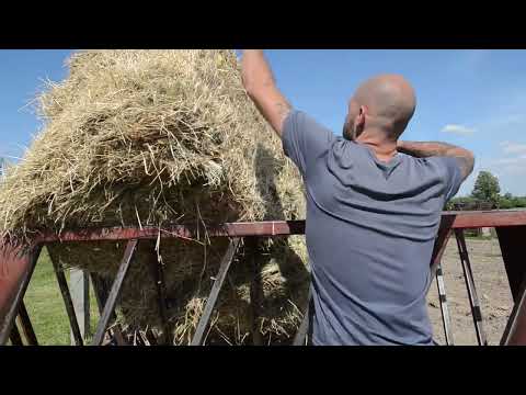 What are entry jobs really about? Farm Manager.
