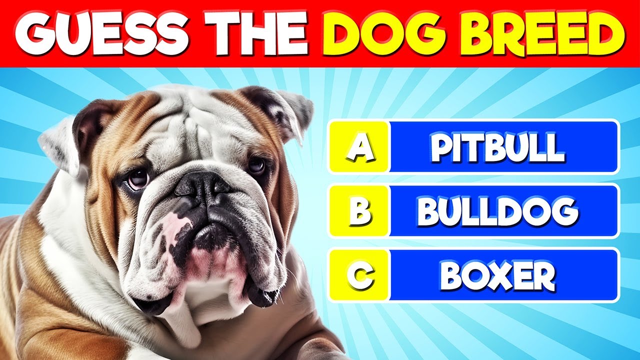 Guess the Dog Breed Quiz