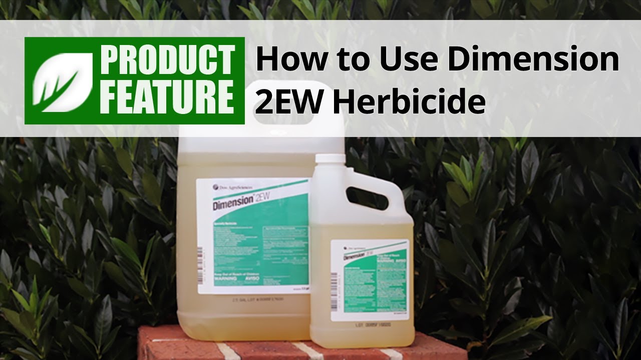 How to Use Dimension 2EW Pre Emergent Herbicide | DoMyOwn.com