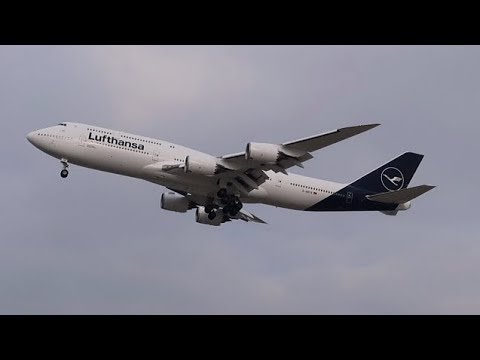 NEW Lufthansa livery! Boeing 747-8i low approach ✈ Hannover Airport