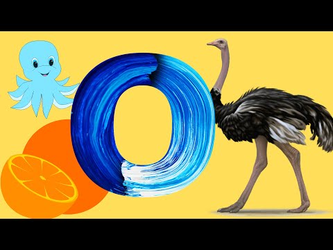 Words start with O for toddlers || O for || Orange || Octopus || Ostrich