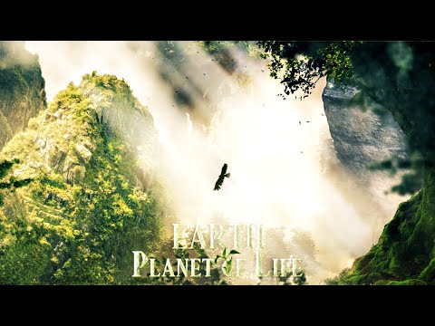 Atom Music Audio - A World to Explore | Documentary | Orchestral | Nature | Discovery