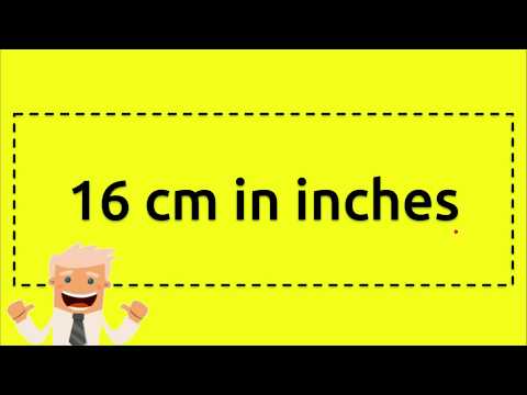 16 cm in inches