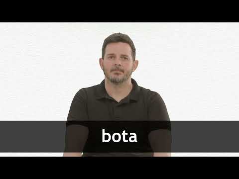 English Translation of “BOTA” | Collins Spanish-English Dictionary