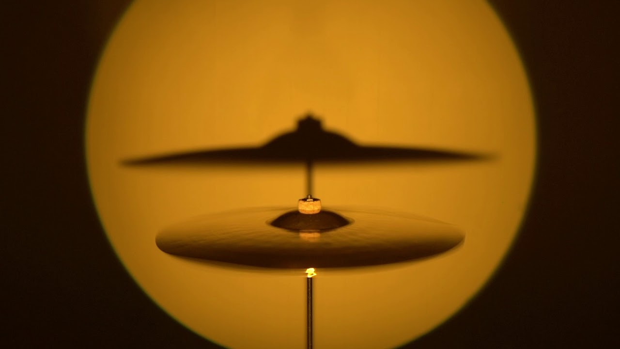 Microcosmos, 2016
