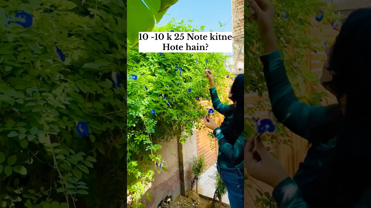 The Quick Calculation:🧮 #mathpuzzle #quickmath #questionanswer #mathstricks #mathsolutions