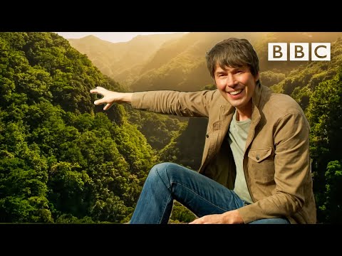How did life begin on Earth? Professor Brian Cox explains everything! ☀️🌱 BBC