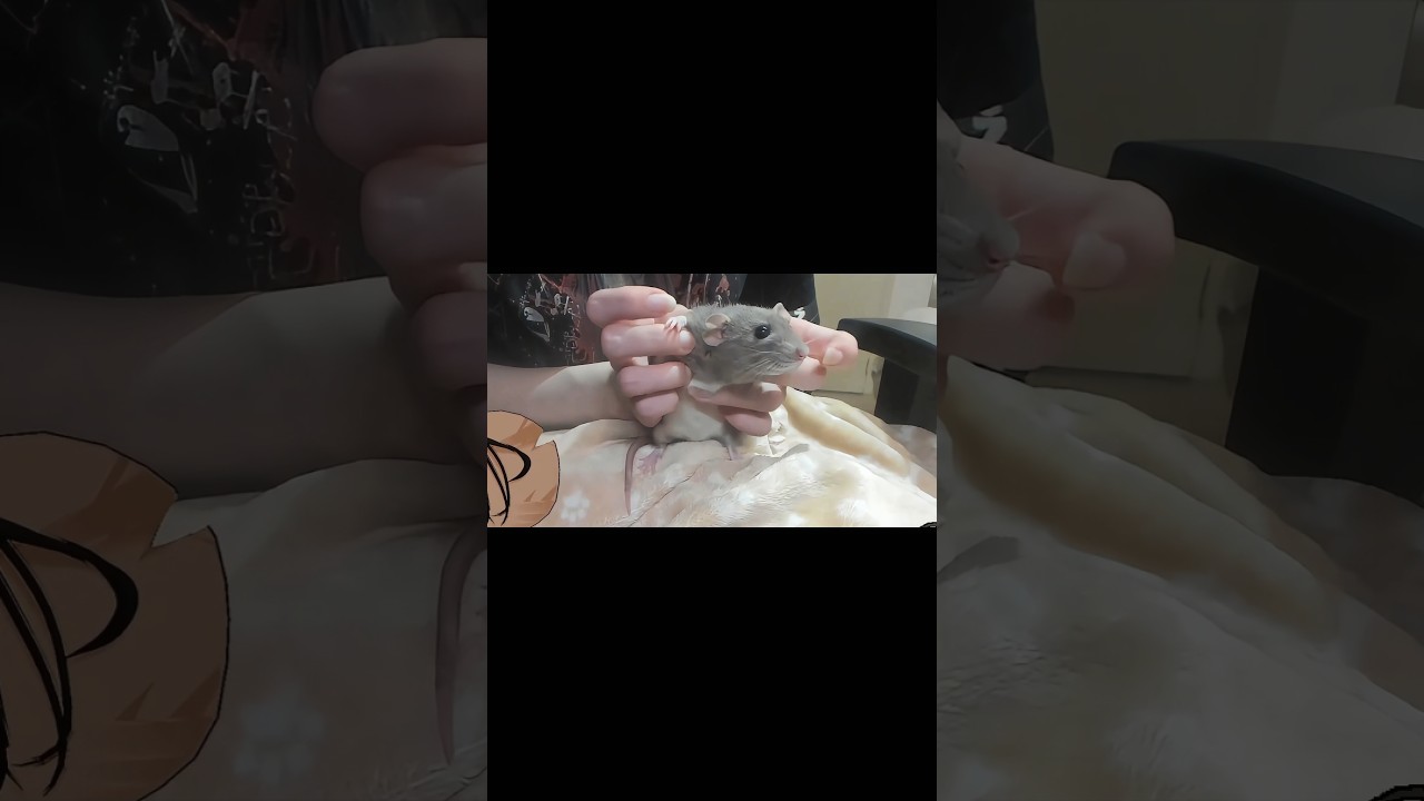 This Vtuber made her Rat dance