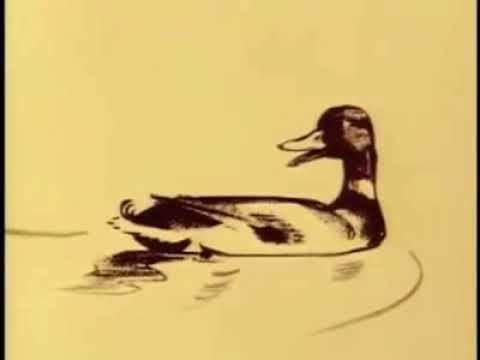 Make Way For Ducklings.