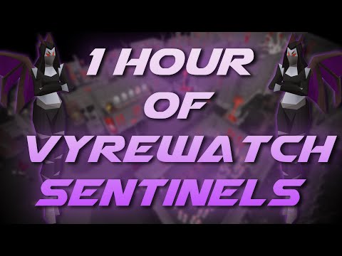 Slaying Vyrewatch Sentinels | Testing OSRS Wiki Money Making Methods