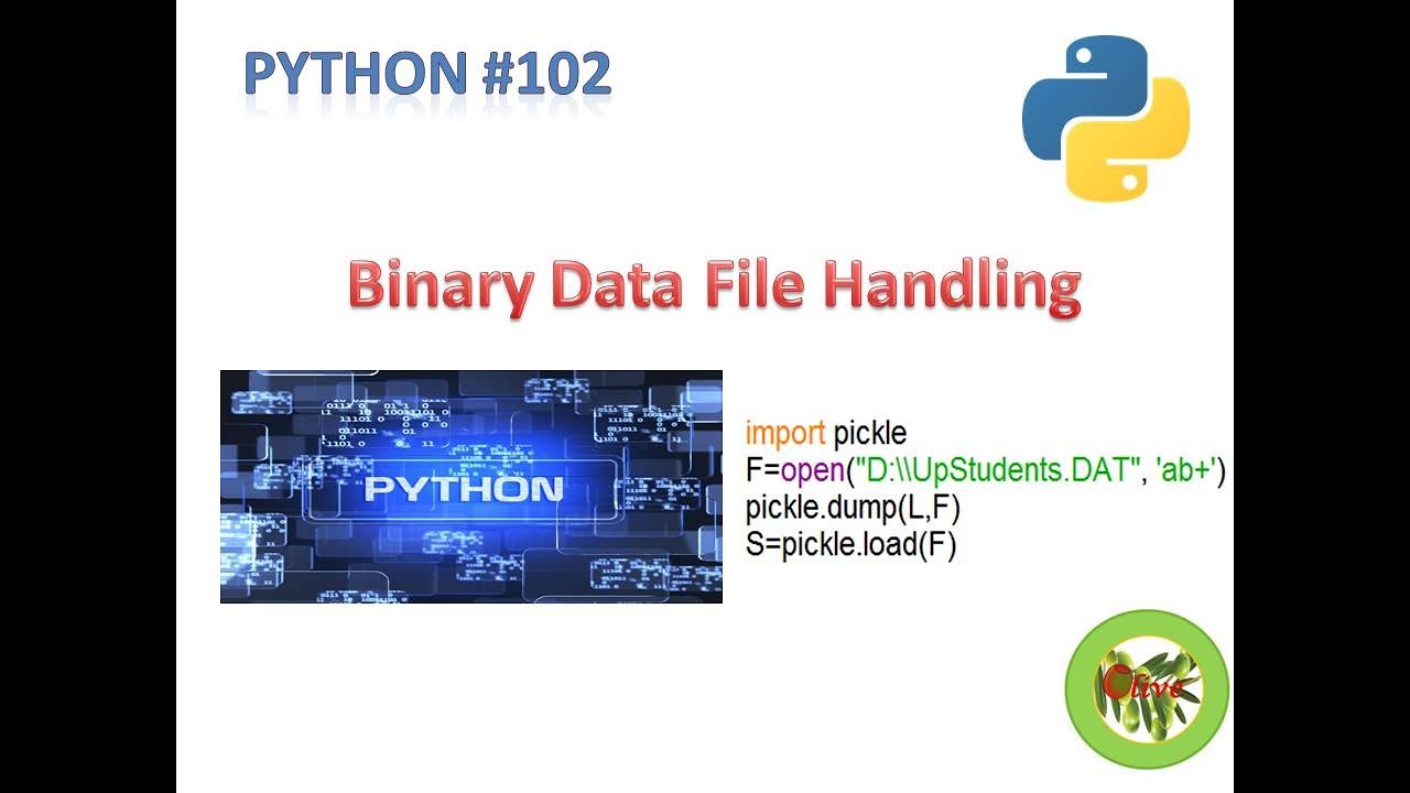 Python #102 Data File Handling- Binary Files Programs