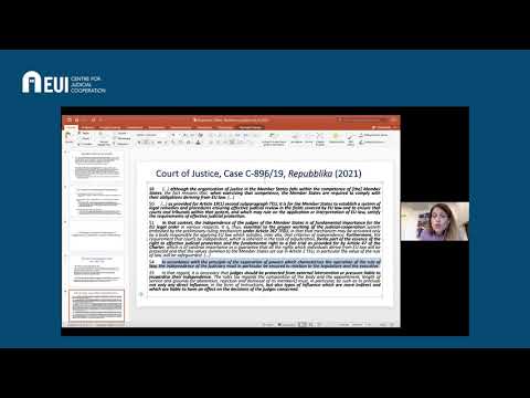 The Role of EU Law in Protecting the Freedom of Expression of Legal Professionals - Nicole Lazzerini