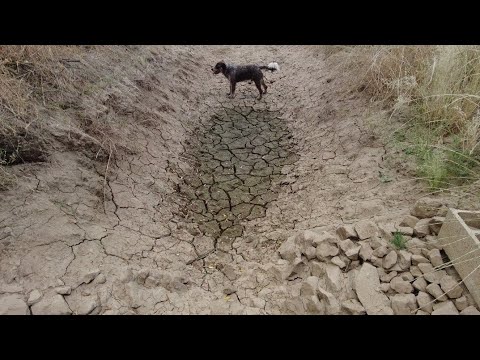 Culverts: we now copy what we loathed! #permaculture