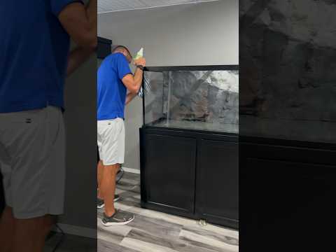 Installing the New Aqua Decor 3D Background