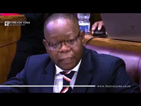 South Africa's Identity Crisis: Are Naturalized Citizens Truly South African?