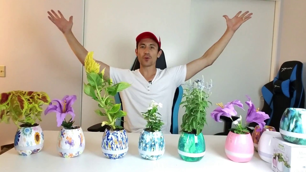 Intelligent Music Flowerpot Pros & Cons | Touch Plant for Music!!!