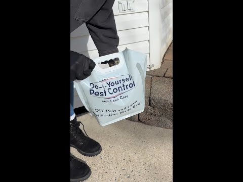 Why Is DIY Pest Control So Satisfying?! š”