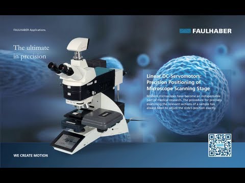 Optics / Microscope scanning stage