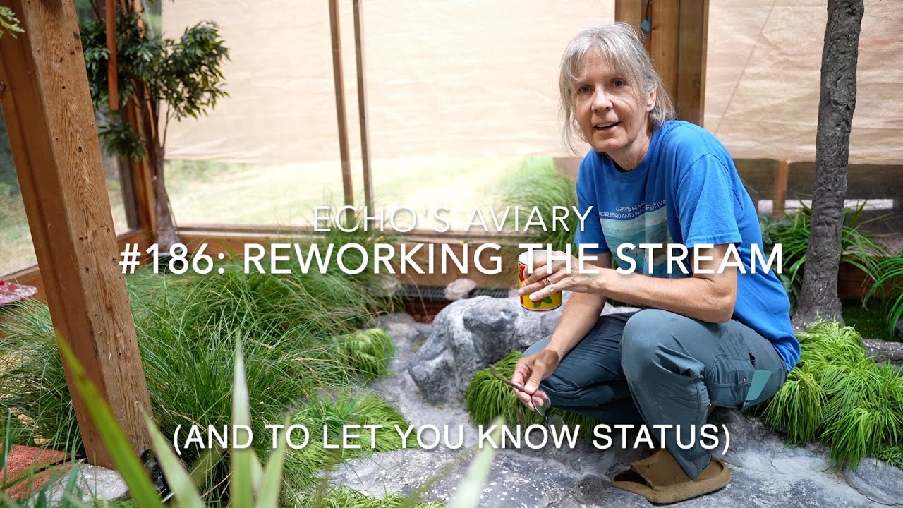 #186:Aviary update: Reworking the Stream project