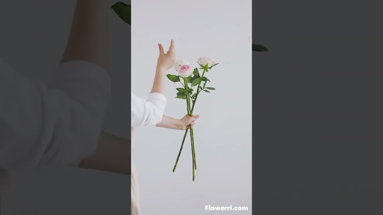 Make a bouquet using spiral method #shortsviral #contentcreator #viral #shortvideos #foryou