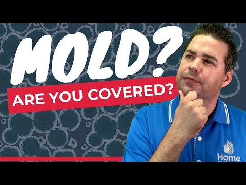 The Truth about Home Warranties and Mold Coverage