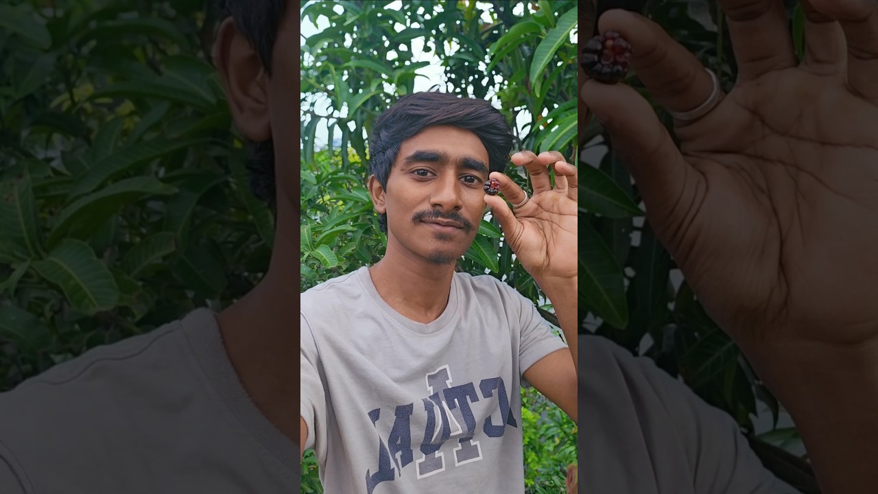 Tasting blackberries for the first time: Mini vlog part-1