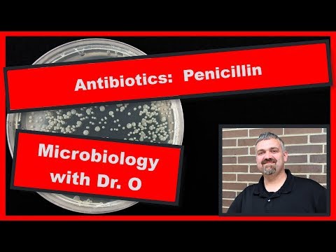 Natural and Semisynthetic Penicillin Antibiotics: Microbiology