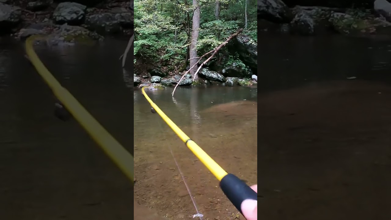 How to Catch Trout on Spinners
