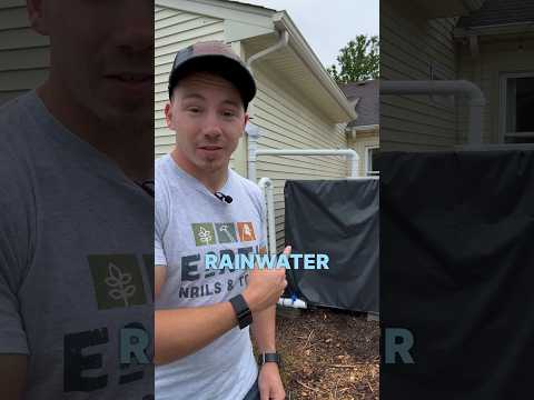 Collecting 800+ Gallons of Clean Water with a DIY Rainwater System 🌧️
