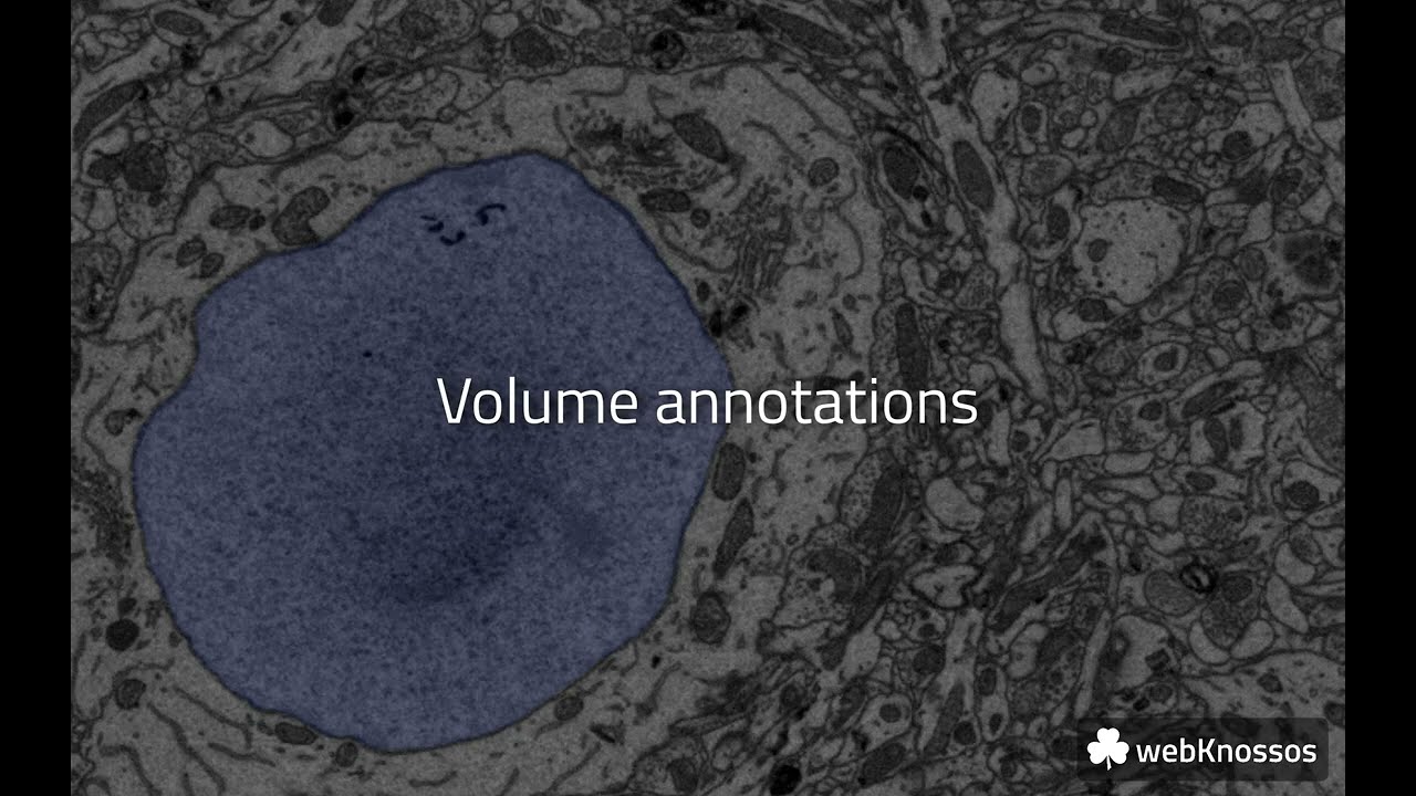 webKnossos - Volume annotations