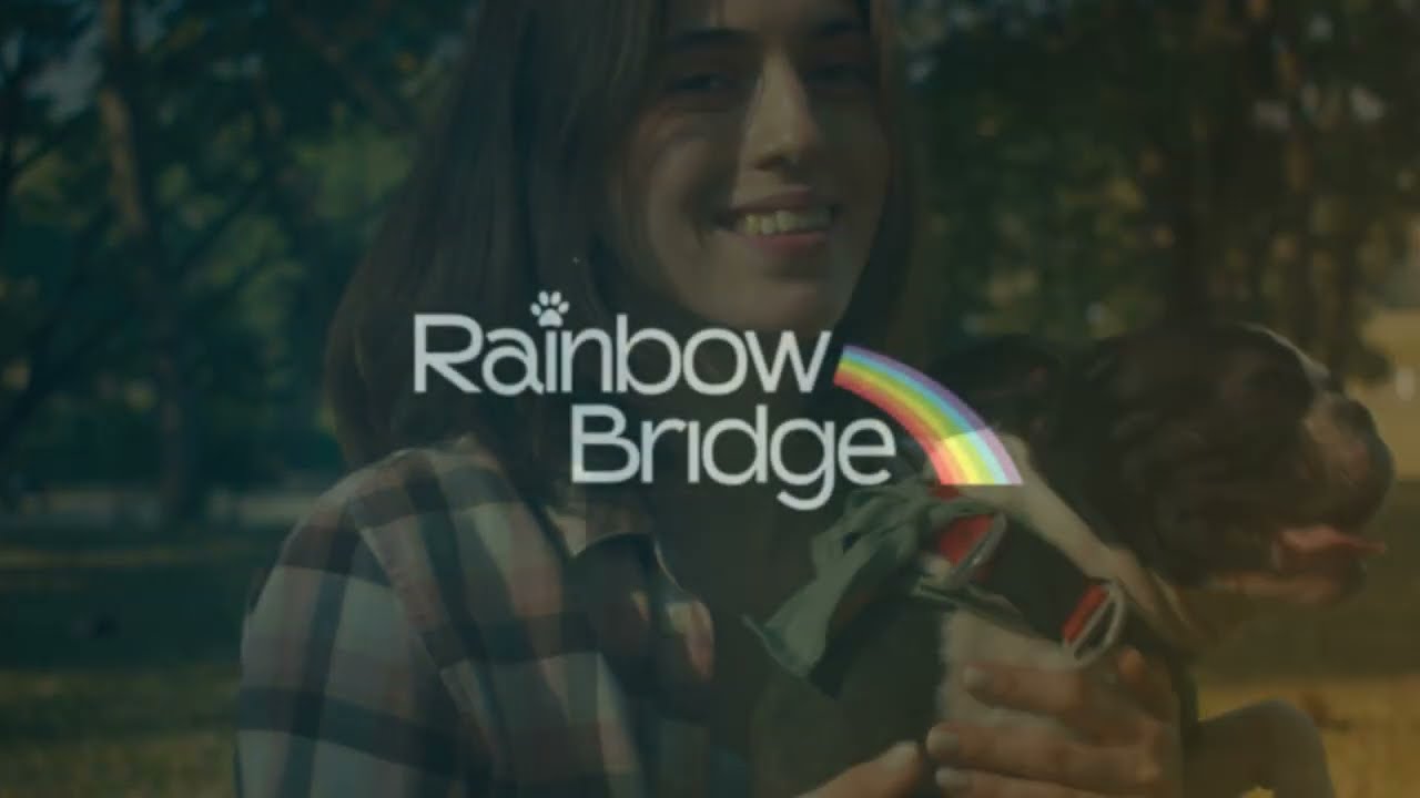 The Original Rainbow Bridge Poem by Edna Clyne-Rekhy: A Heartfelt Tribute to Beloved Pets