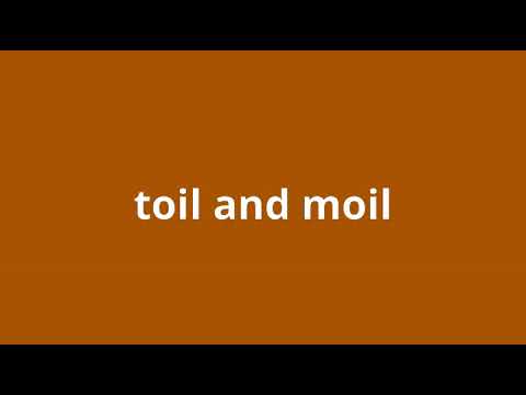 what is the meaning of toil and moil