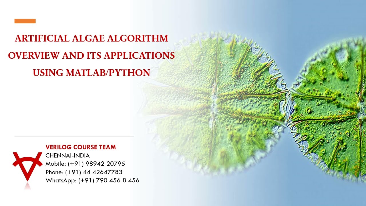 ARTIFICIAL ALGAE ALGORITHM OVERVIEW AND ITS APPLICATIONS USING MATLAB-PYTHON