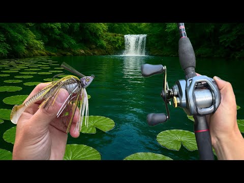 I Couldn’t STOP HOOKING BIG BASS In 100 DEGREE WEATHER! (insane)