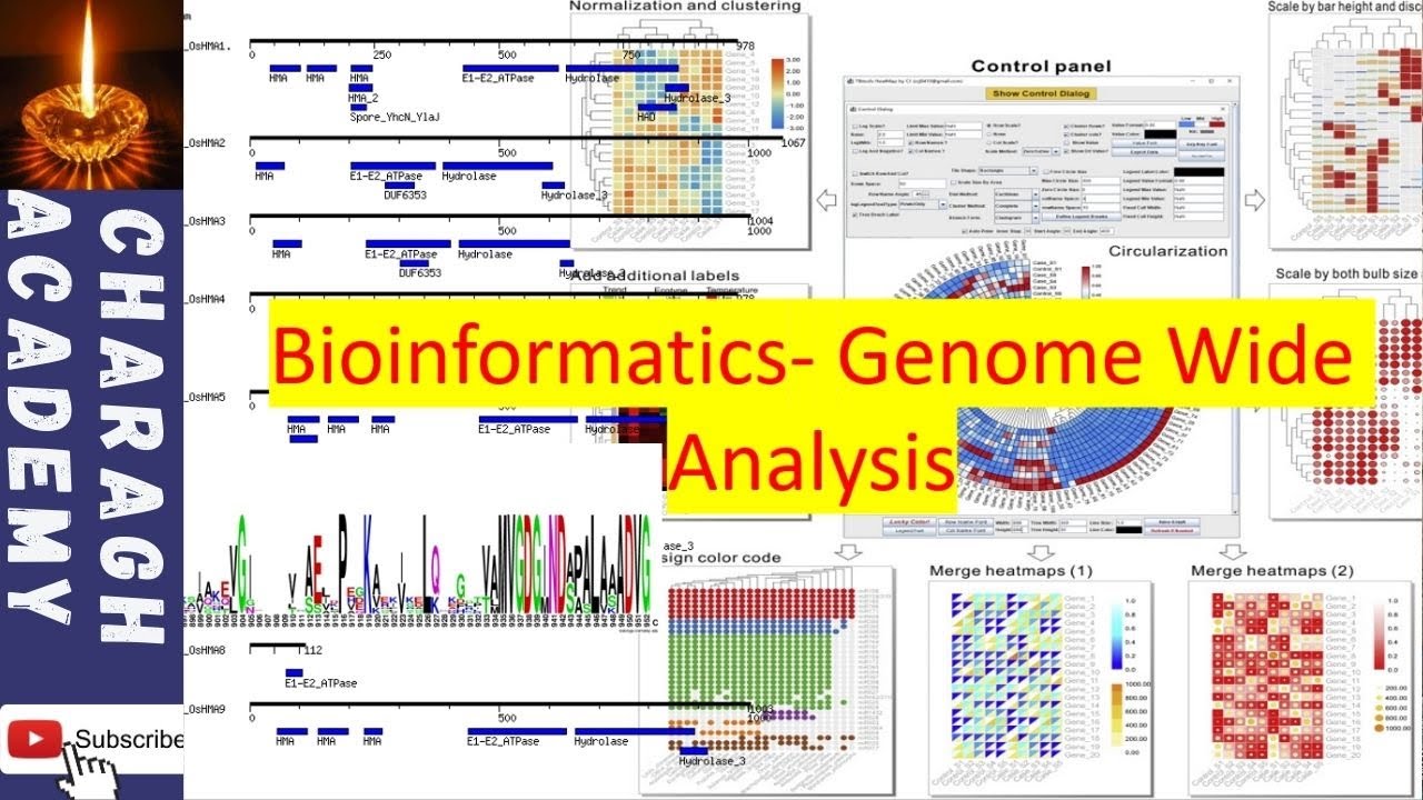 Bioinformatics- Genome Wide Analysis- TBtools