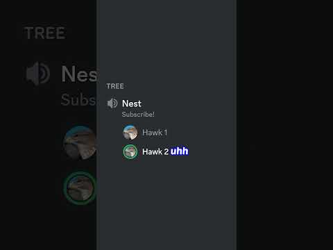 Hawk Tuah Discord Meme