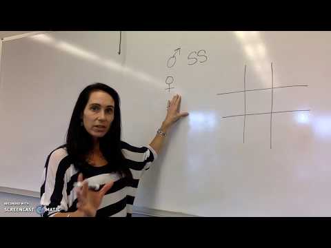 Evolutionary Genetics Demonstration
