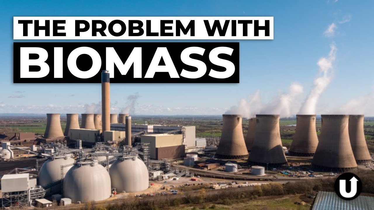 The Controversial Story of Britain's Largest Renewables Plant