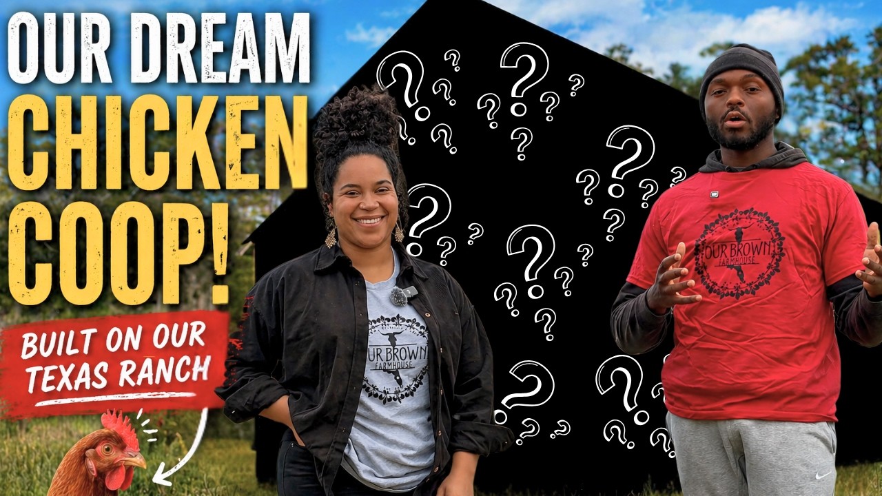 We Built Our DREAM Chicken Coop on Our Texas Ranch (Start to Finish!)