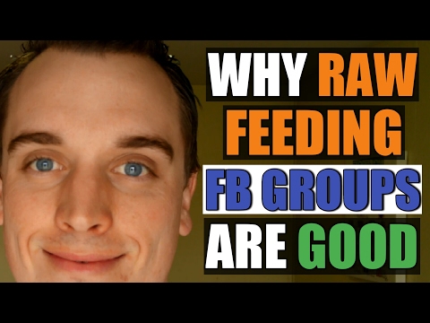 Raw Feeding Facebook Groups 4 Reasons Why They're Good