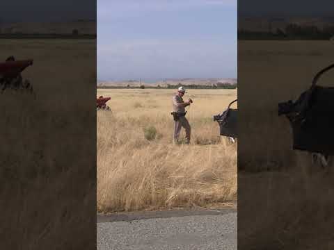 Woman faces FELONY VEHICULAR MANSLAUGHTER following fatal crash in Fresno County, CA