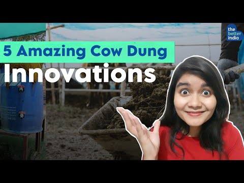Paint Made from Cow Dung? || Green Technology || Bio Energy || Renewable Resources
