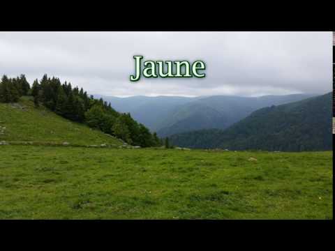 How to pronounce jaune in French