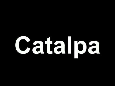 How to Pronounce "Catalpa"